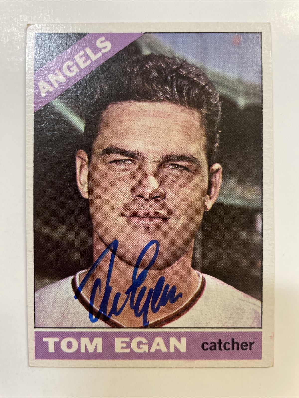 Tom Egan Autographed 1966 Topps Card #263 California Angels A-366 | eBay