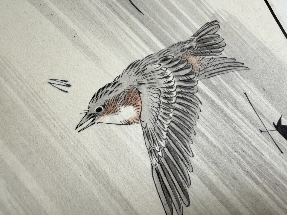 Japanese Drawing Book “Kachoshu” Picture of birds and flowers 49 ...