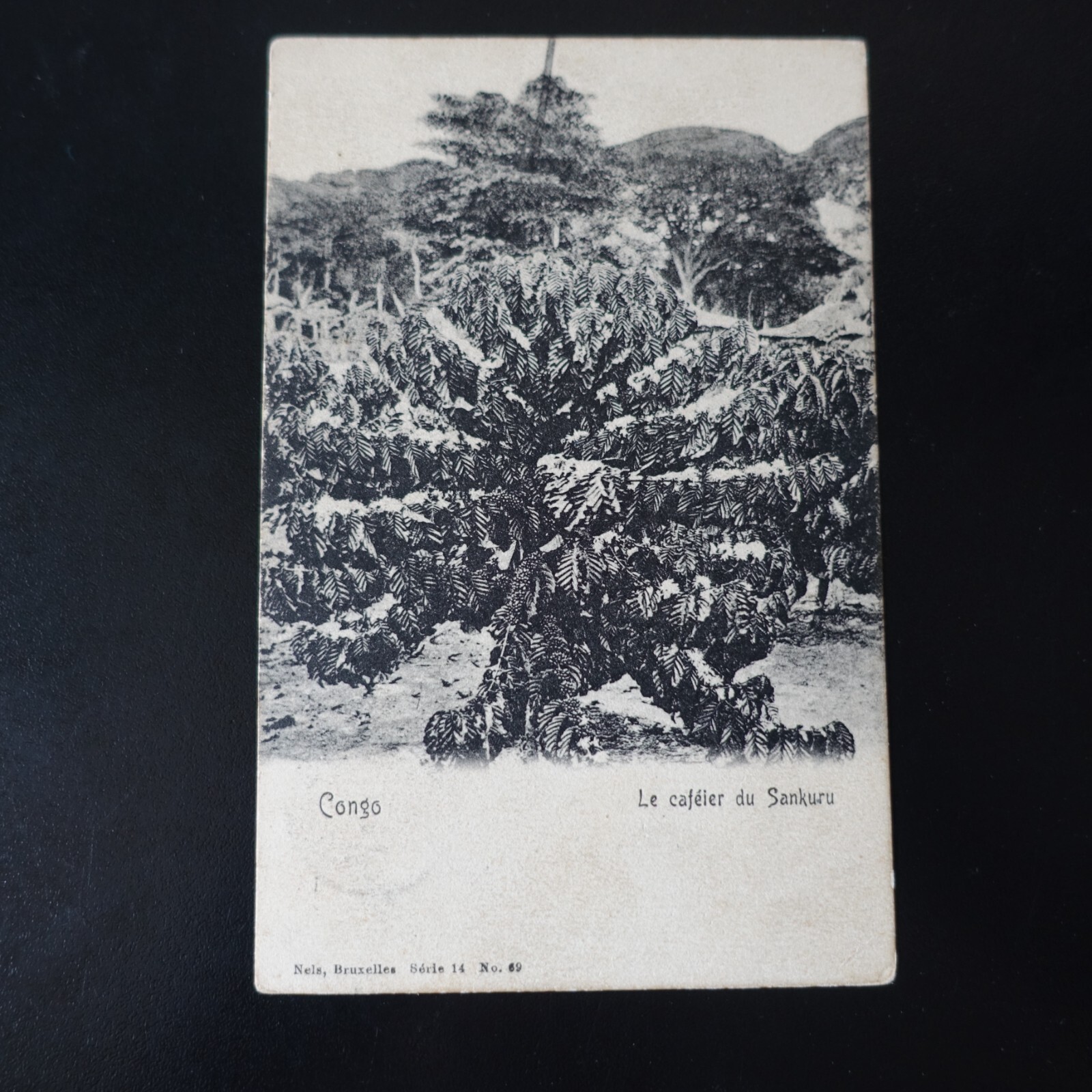 Congo Belgian Congo COVER Cover CPA Illustrated The Café Owner Of ...