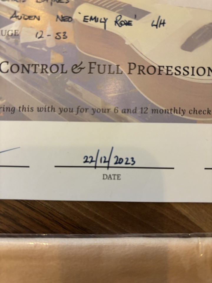 Left-Handed Auden Emily Rose Neo Acoustic Guitar | eBay UK