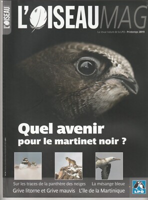 Revue L'oiseau magazine LPO #134 Printemps 2019 le martinet noir | eBay