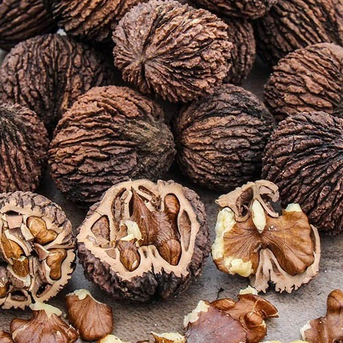 Black Walnut Nuts Hull