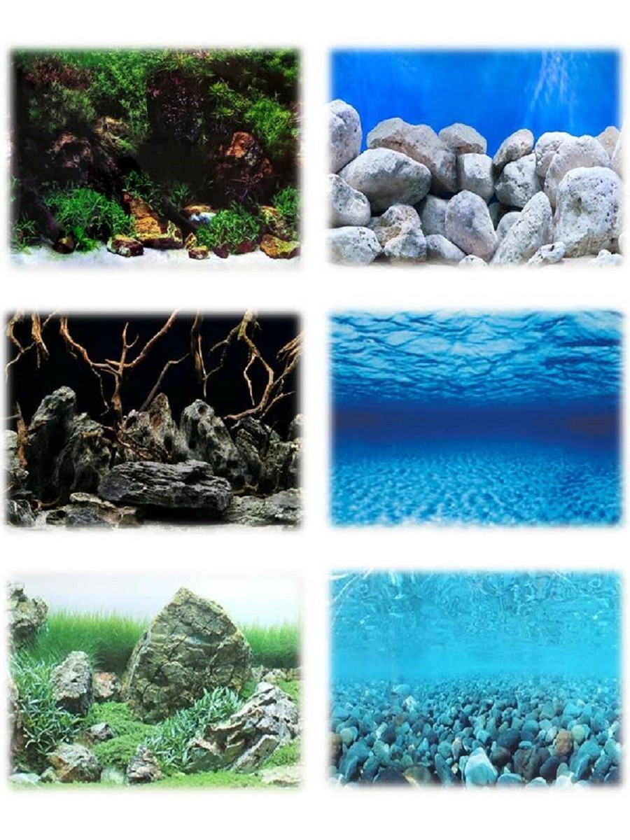 Vivarium Background Poster