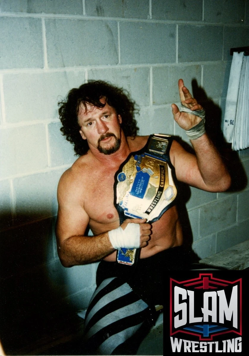 Terry Funk Ecw