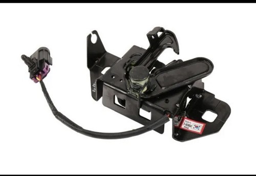 Genuine GM Hood Primary and Secondary Latch 84160735 | eBay