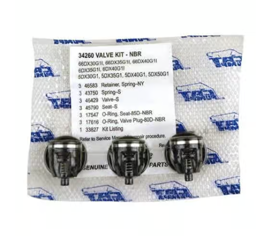 Cat Pump Check Valve Kit 34260 For 66DX and 66PPX Pumps | eBay