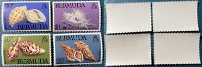 Bermuda 1982 Shells Set Sc-419-422 MVLH OG #BR1 - US Seller | eBay