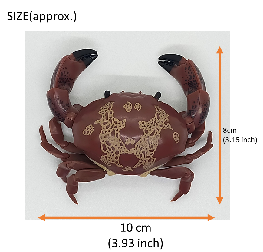 Bandai Japan Gashapon Figure Calappa Lophos Shame-faced Box Crab from ...