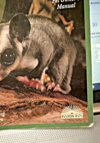 Sugar Gliders (Complete Pet Owner's Manuals) by MacPherson, Caroline | eBay