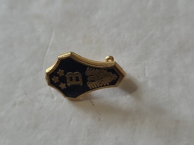 Vintage National Beta Club Member Pin | eBay