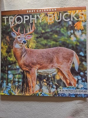 Trophy Buck 16 Months 2021 Wall Calendar 12"X24" w BONUS Downloadable ...