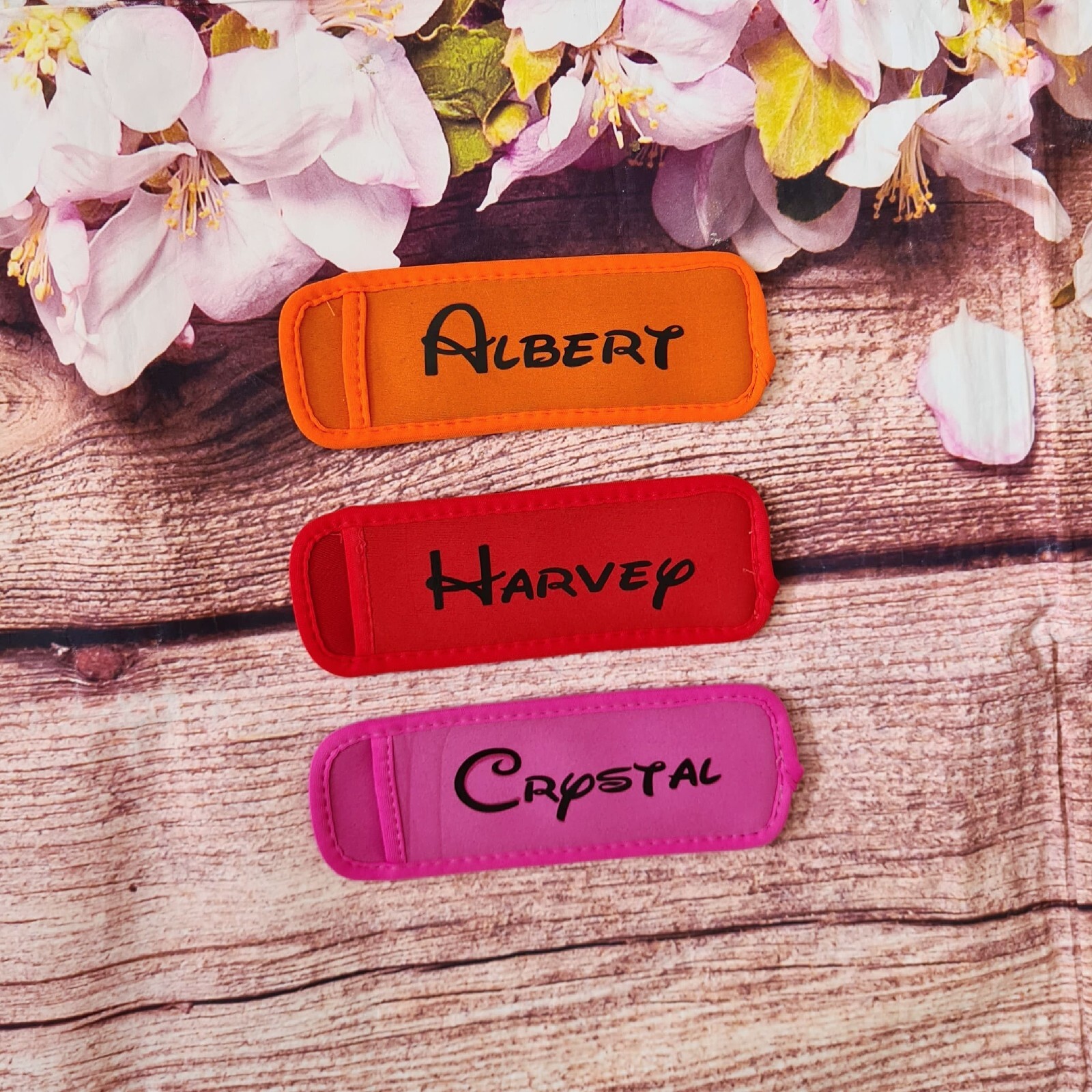 Personalised Ice Lolly Holder Ice Pop Ice Cream Popsicle Case Holder ...