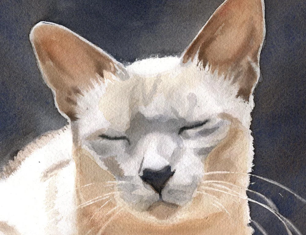 Simple Watercolor Cat