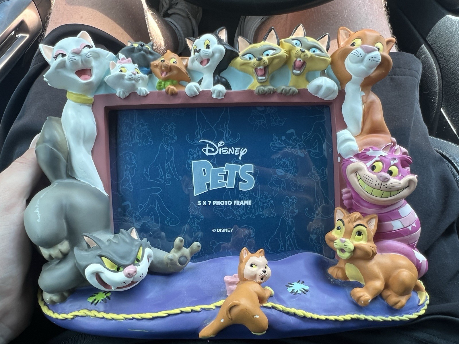Disney Pets Cats Picture Frame 5x7" Photo 3D Aristocats Duchess ...