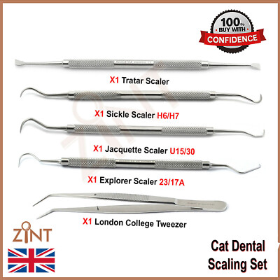 Student Teeth Scaling Kit Dentist Plaque Scrapers Removers Examination ...