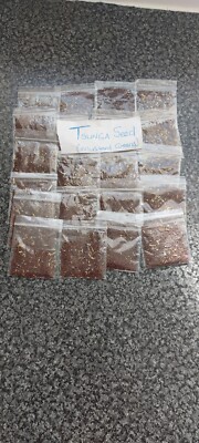 50 Tsunga Mustard Greens Vegetable seeds. (Zimbabwe variety) heirloom ...