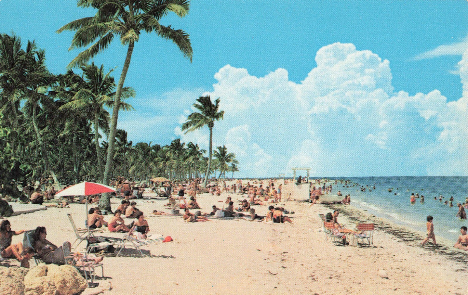 Postcard Beach Crandon Park Key Biscayne Florida | eBay