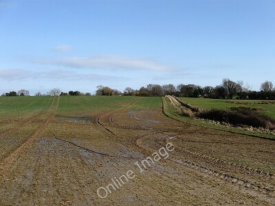Photo 6x4 Ten Acres Hankham The name of this section of the field ...