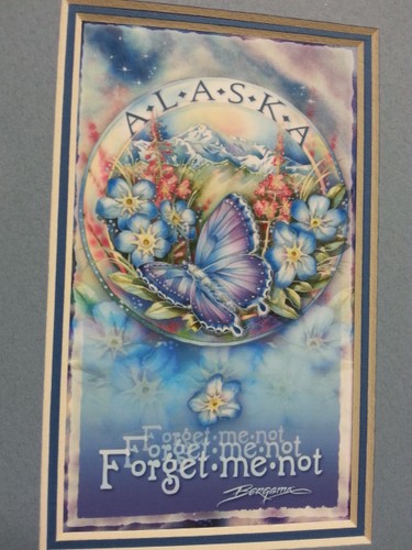 Beautiful Alaska Forget Me Not Butterfly Mailable Frameable 5x7 print ...