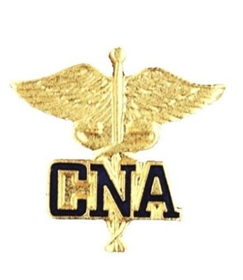 CNA Caduceus Lapel Pin Medical Emblem Graduation Prestige Gold Plated ...