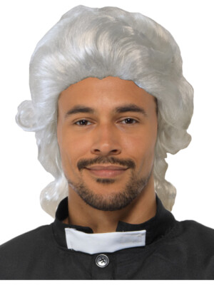 Adult's White Colonial Court Judge Legislator Wig Costume Accessory | eBay