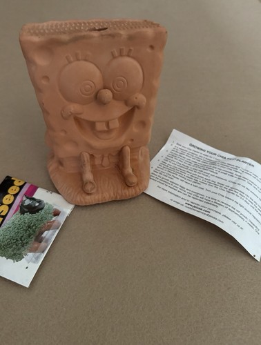 SpongeBob Chia Pet With Instructions And Seeds? | eBay