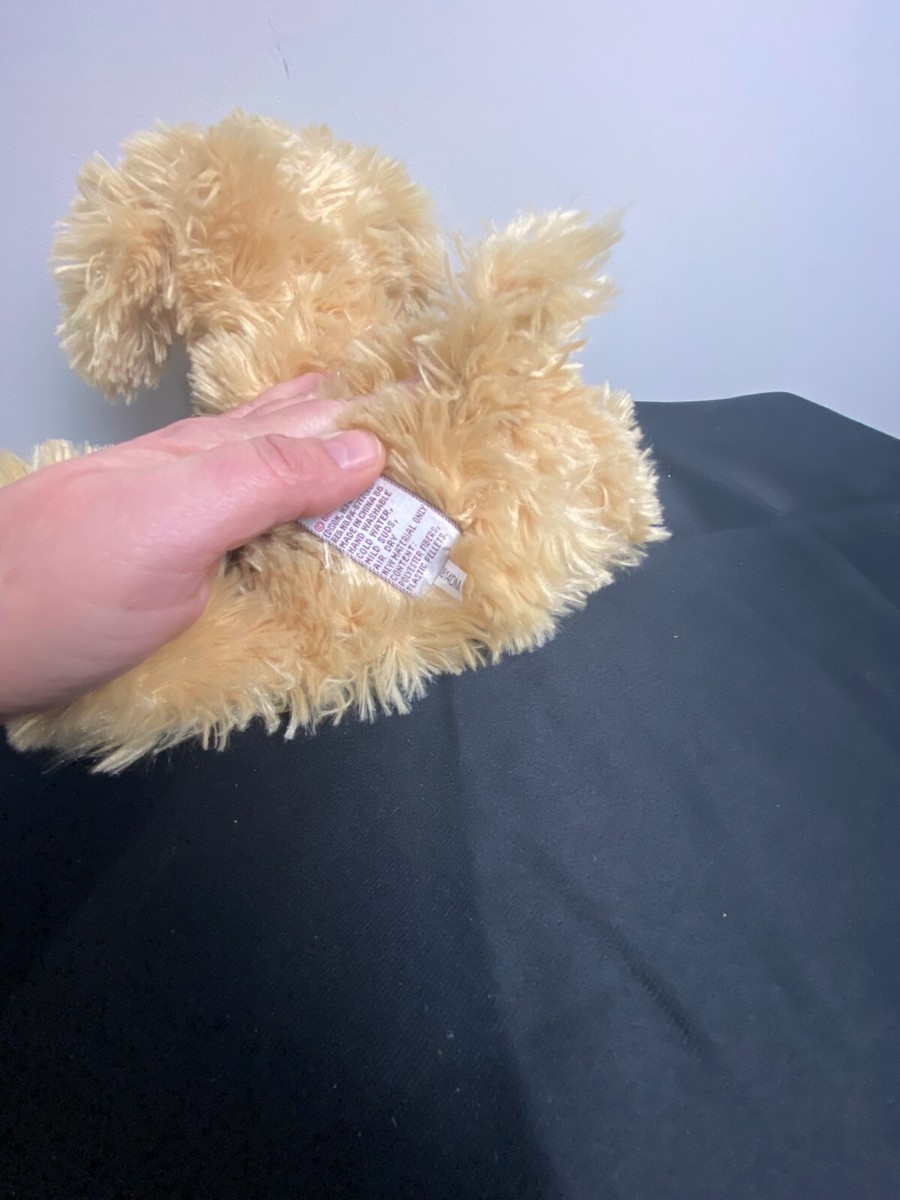 Ursinho De Pelucia Cortado Cockapoo