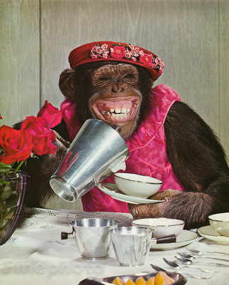 1959 MONKEY HUMOR Chimpanzee TEA PARTY Coffee Kitchen Food Hat Animal ...