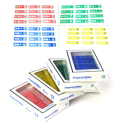 48 PCS Insects Plant Animal Specimen Plastic Microscope Prepared Slides ...