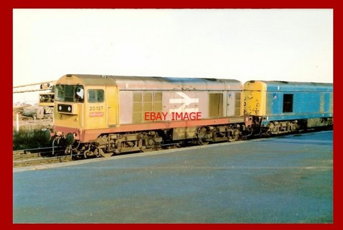 PHOTO BR CLASS 20 LOCO NO 20137 | eBay