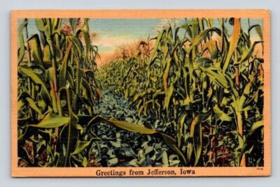Jefferson Iowa Greetings From The Corn Fields Postcard | eBay
