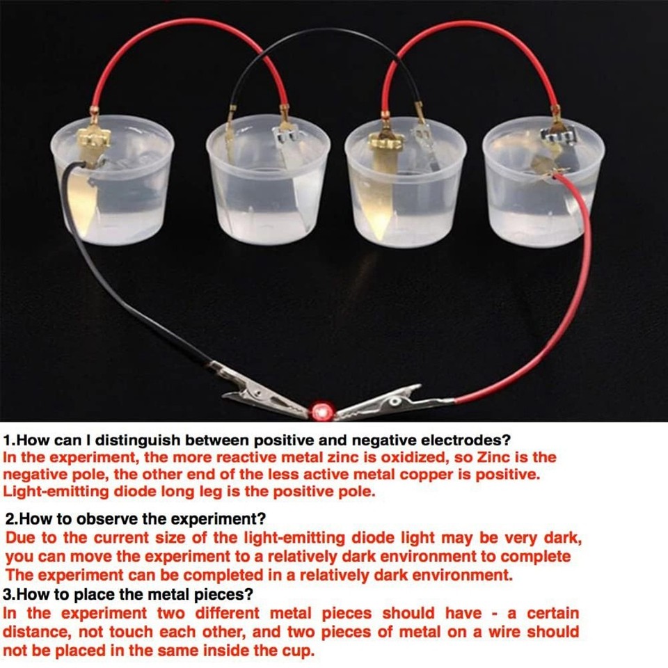 Fruit Battery Science Experiment Kit for Home Teaching Toy, Lemon ...