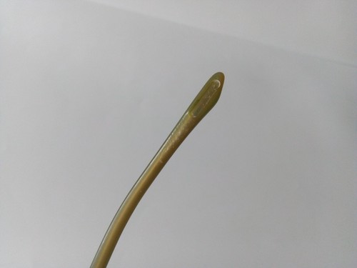 Vintage Sting By De Rigo Women`s Eyeglasses Frame SS4665 COL.SG7 ...