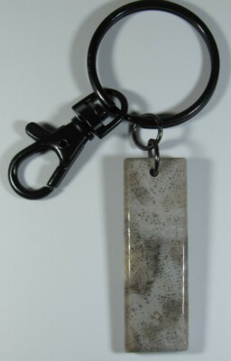 Brown Ammonite Fossil Stone Key Ring Inv A071 | eBay