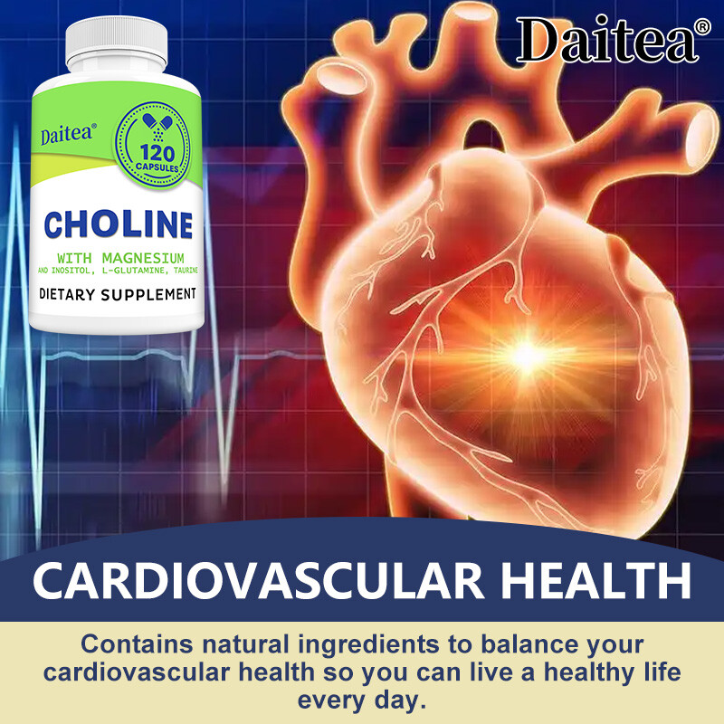 Choline Supplements 120 Capsule Promote Energy Liver Brain ...