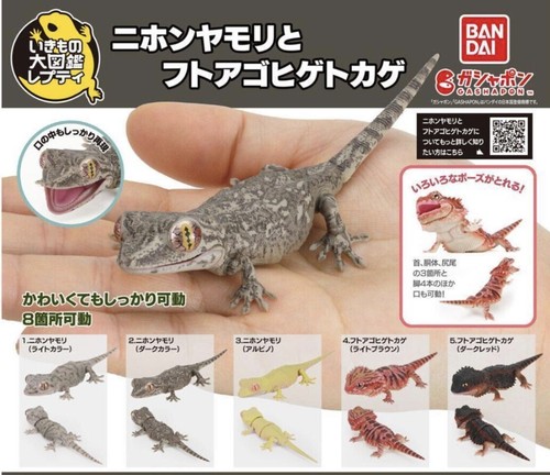 New Bandai Gashapon Bearded Dragon & Gekko Japonicus Action Figure | eBay