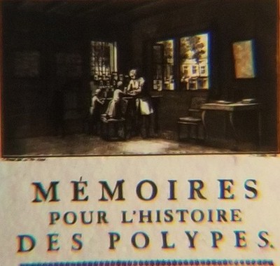 Scene from Trembley's The Polyp 1744 Microphotograph Microscope Slide ...