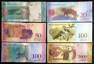 Venezuela Animal Banknotes Set 6 PCS – Wildlife Paper Money Collection ...