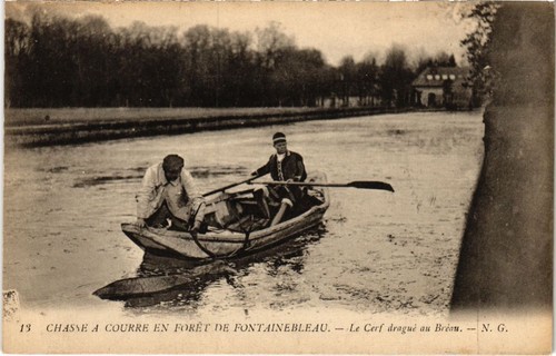 CPA Fontainebleau Le cerf dague au Breau (1269180) | eBay