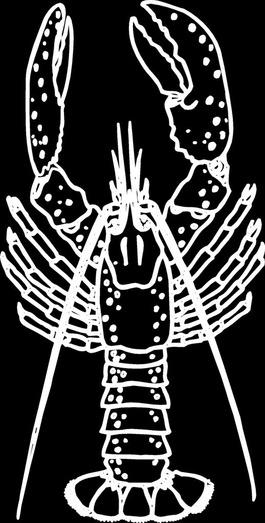 Crayfish Animals 1 Color Window Wall Vinyl Decal Sticker Printed ...