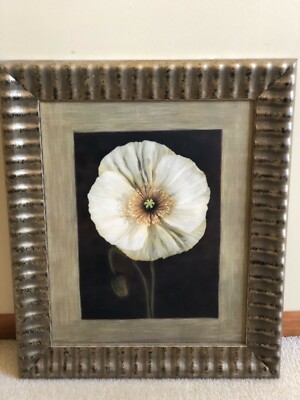 Flora I Andrea Trivelli white rose wall art painting picture frame ...