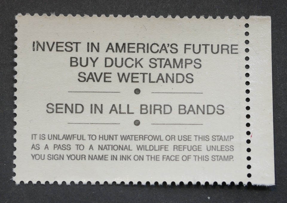 RW62 Federal Duck Hunting Stamp 1995 MNH OG Migratory Bird Hunting ...