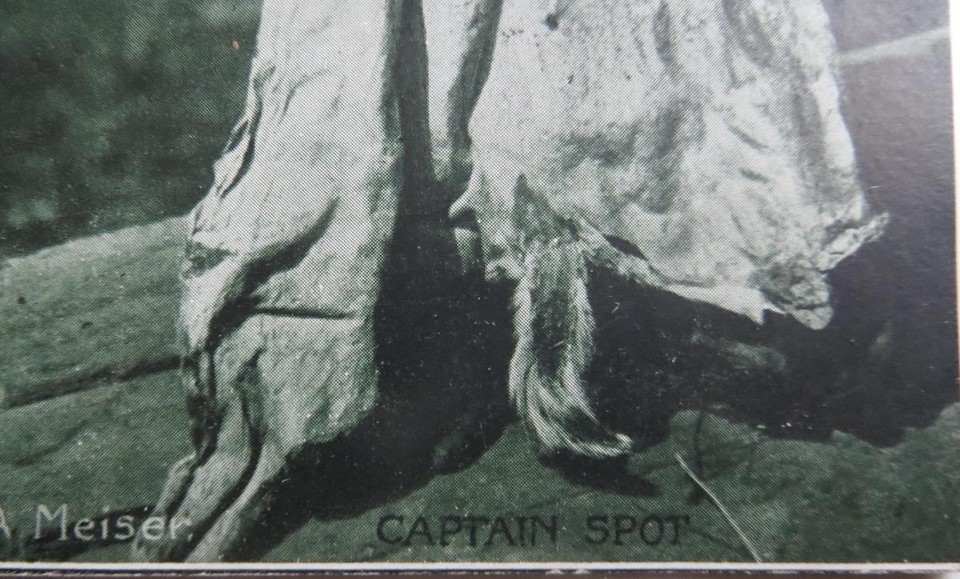 (2)1908 Meiser Indians Couple & Abode + Captain Spot Humboldt County | eBay