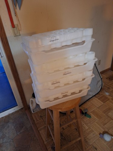 Bottle Drying Tree And Bottle Capper | eBay