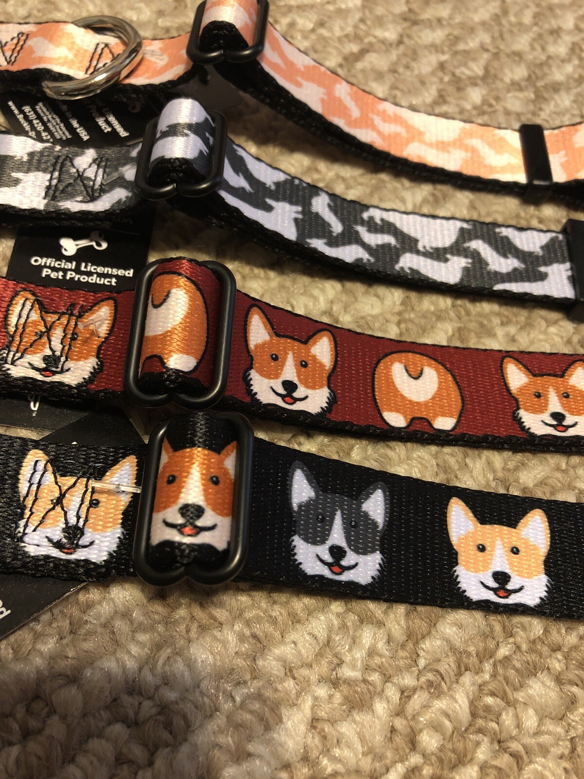 New! Dog Pet Collars From Buckle Down, Pembroke Welsh Corgi!! All ...