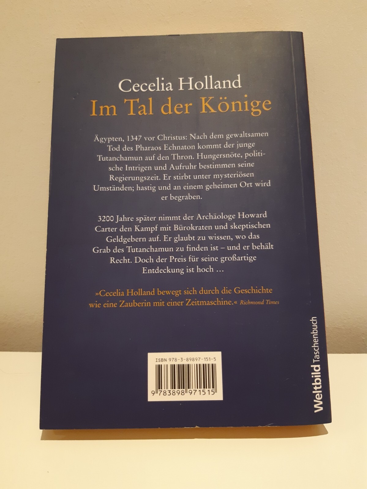 Im Tall der Könige ROMAN Buch wie NEU CECELIA HOLLAND | eBay.de
