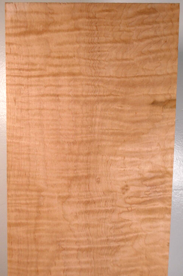 Intense Figure Curly Maple Luthier Guitar Top Blank Fiddleback ...
