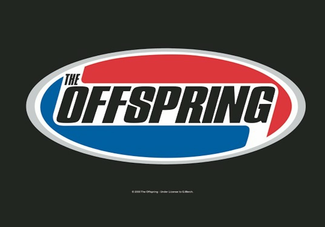 OFFSPRING - BAND LOGO - FABRIC POSTER - 30x40 WALL HANGING - MUSIC ...