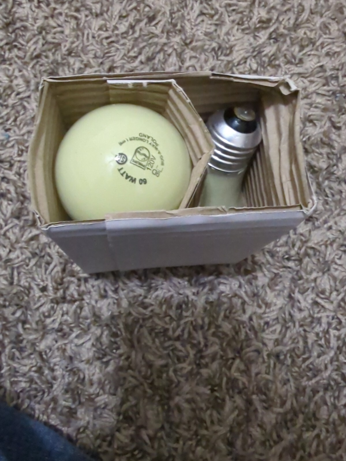 Philips Bug-a-way A19 Medium Incandescent Bug Light Bulb 415810 for ...