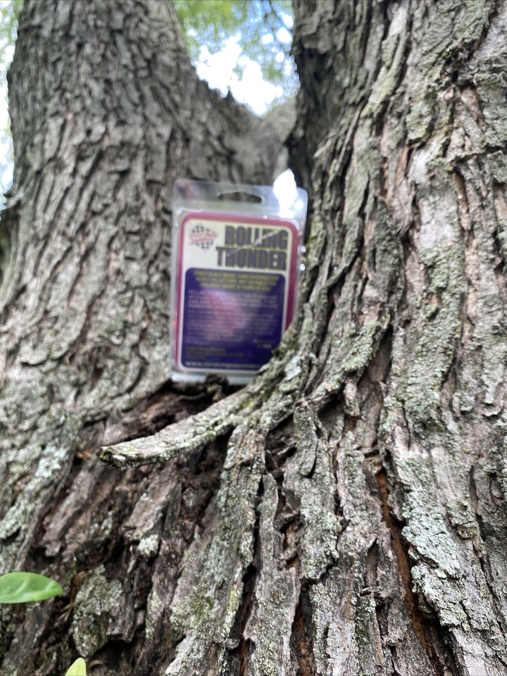 2010 Ford Mustang Modified #1 Burt Myers Signed Winston-Salem North ...